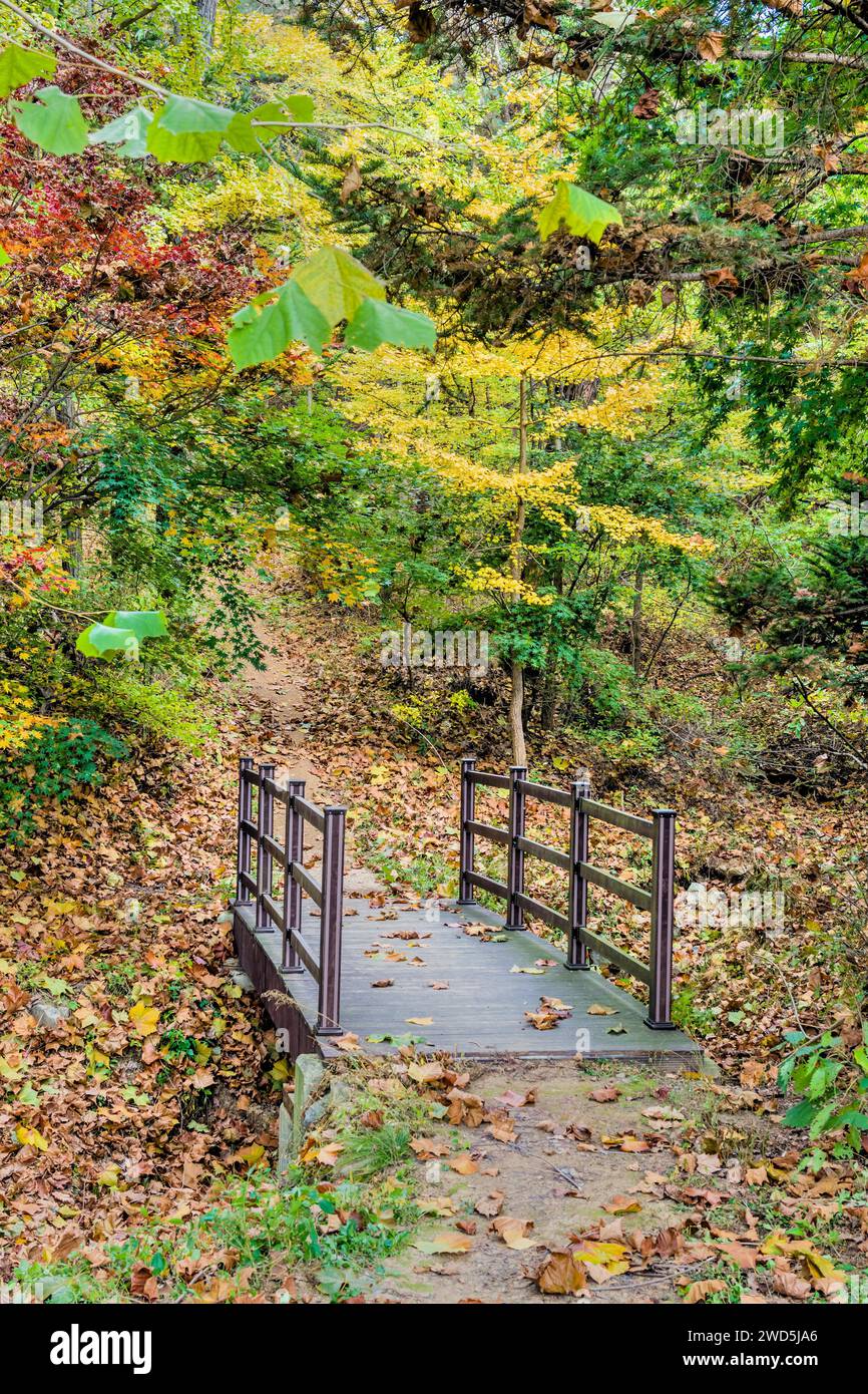 Wooden footbridge over ravine in mountain park, South Korea, South ...