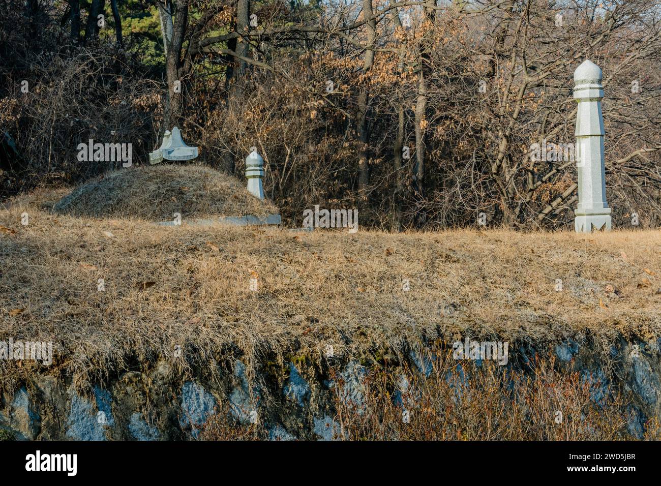 Unmarked burial mounds on flat piece of land in wooded area on side of ...