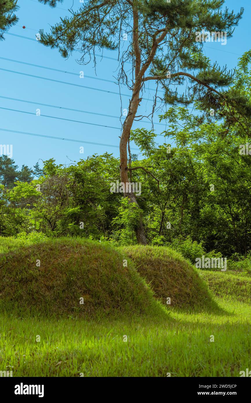 Two unmarked burial mounds on hill of beautiful green grass in ...