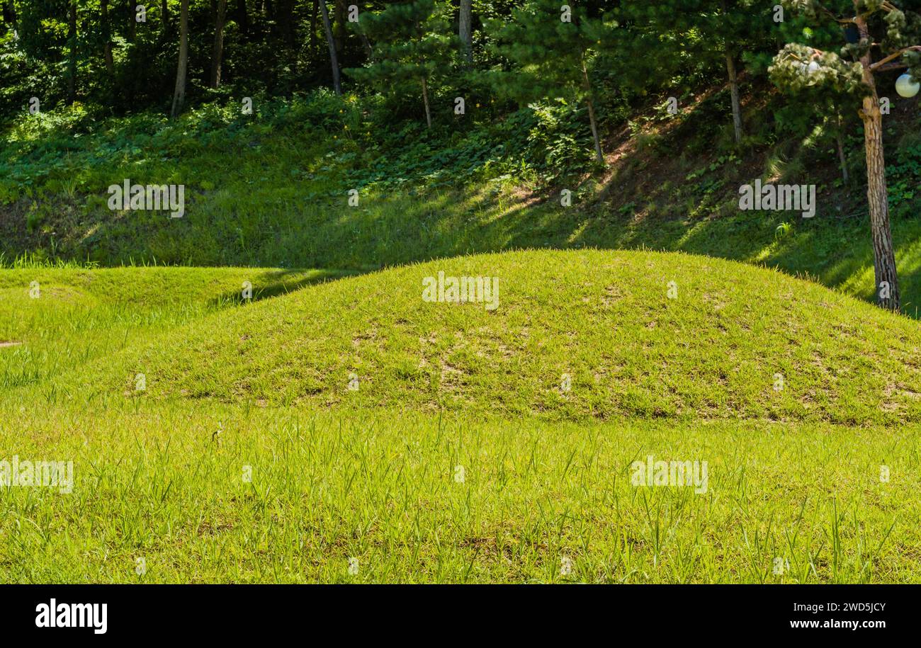 Tree covered burial mound hi-res stock photography and images - Alamy