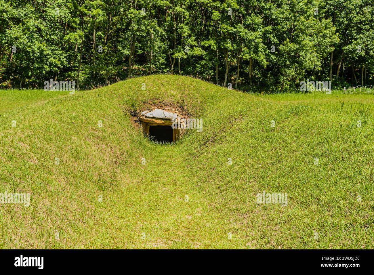 Unmarked mound tomb in woodland public park with concrete opening on ...