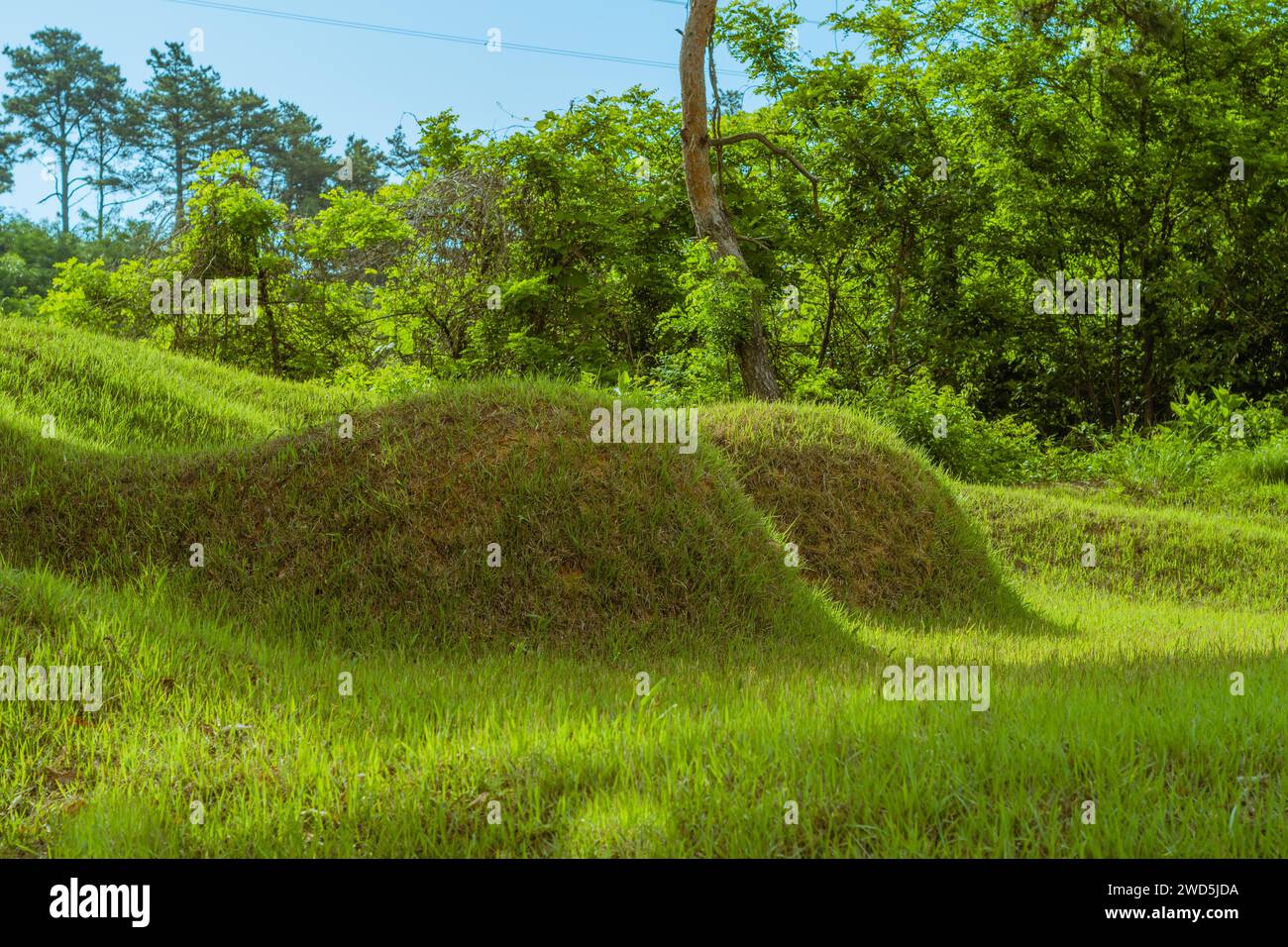 Two unmarked burial mounds on hill of beautiful green grass in ...