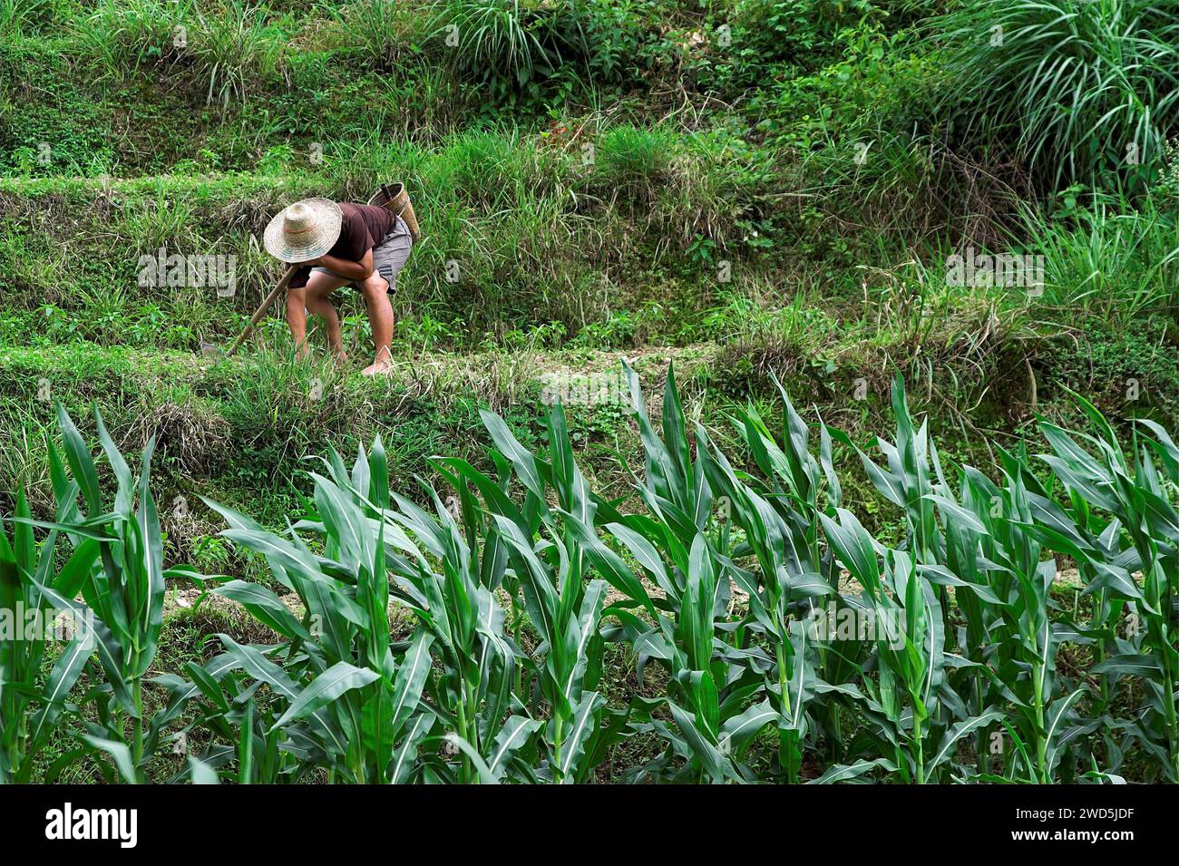 Agricultura de pendiente hi-res stock photography and images - Alamy