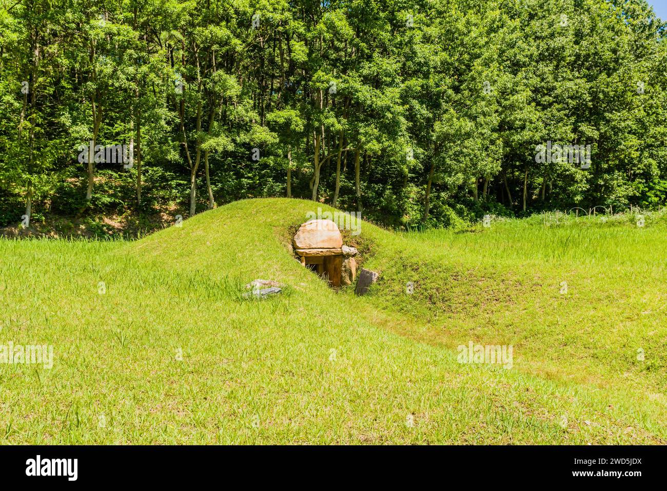 Unmarked mound tomb in woodland public park with concrete opening on ...