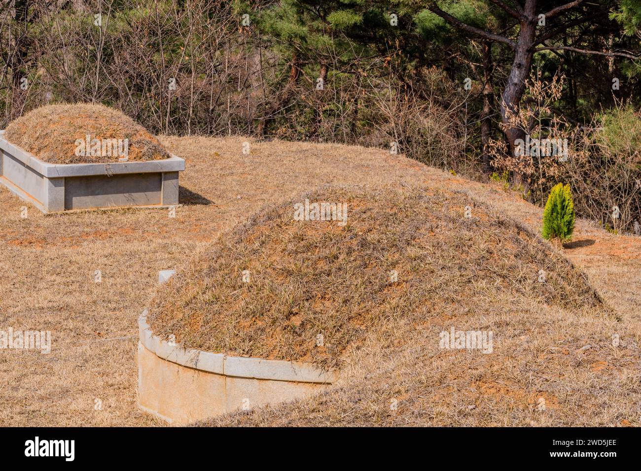 Two large unmarked burial mounds encased in concrete located in treed ...