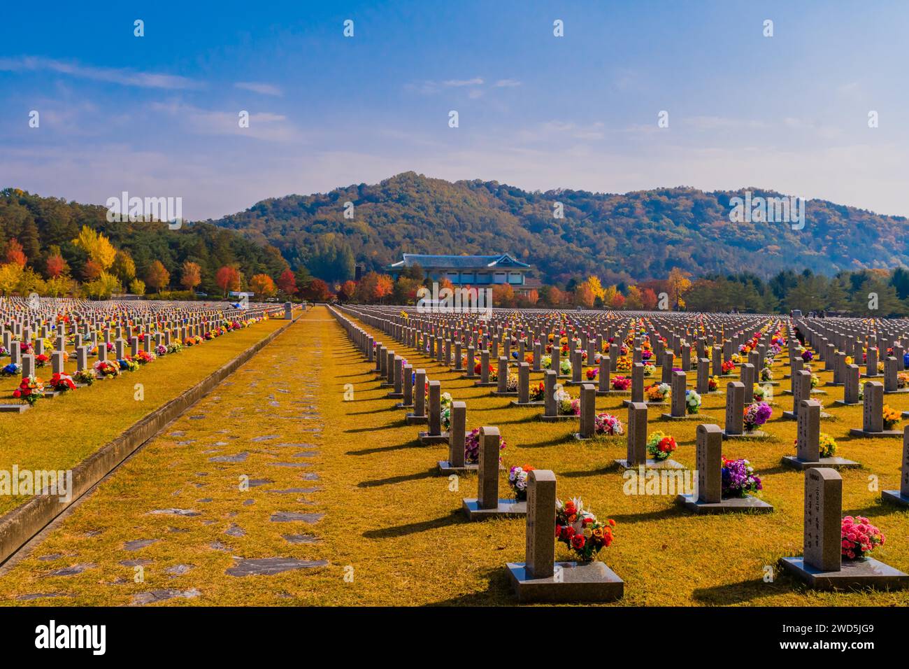 Daejeon, South Korea, November 3, 2019: Rows of headstones with trees ...