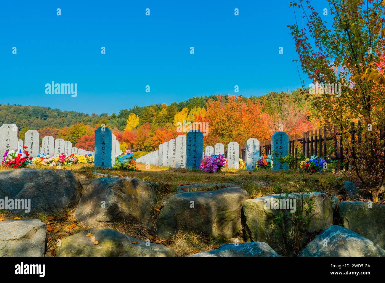 Daejeon, South Korea, November 3, 2019: Rows of headstones with ...