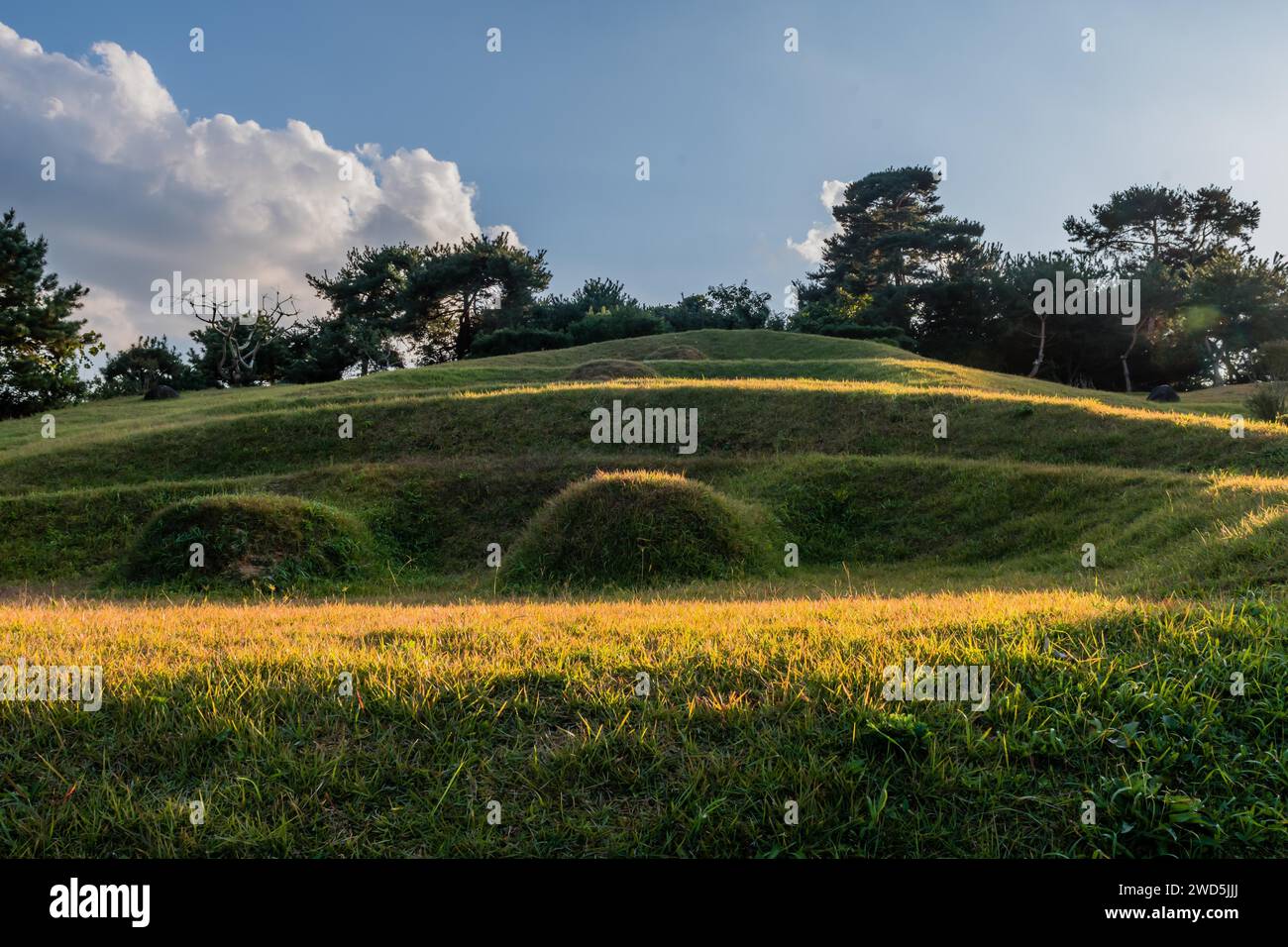 Small hillside graveyard of unmarked grave mounds with trees and cloudy ...