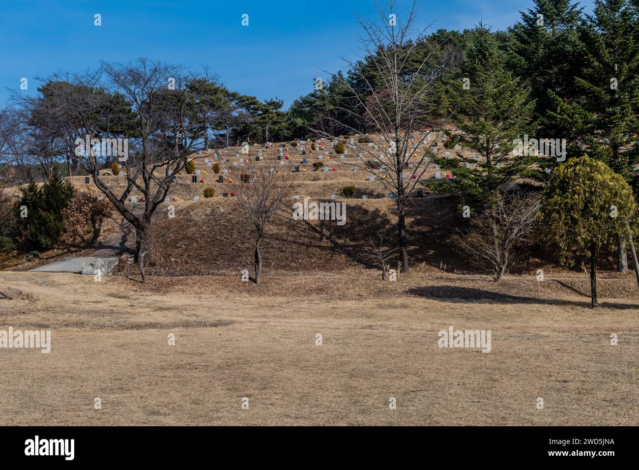 Landscape of burial mounds on hillside of rural graveyard, South Korea ...