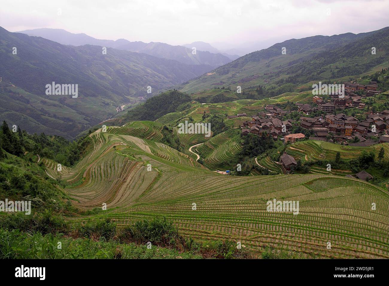 龙胜镇 (龙胜县) 中國 Longsheng Rice Terraces, Dazhai Longji Ping'an Zhuang ...
