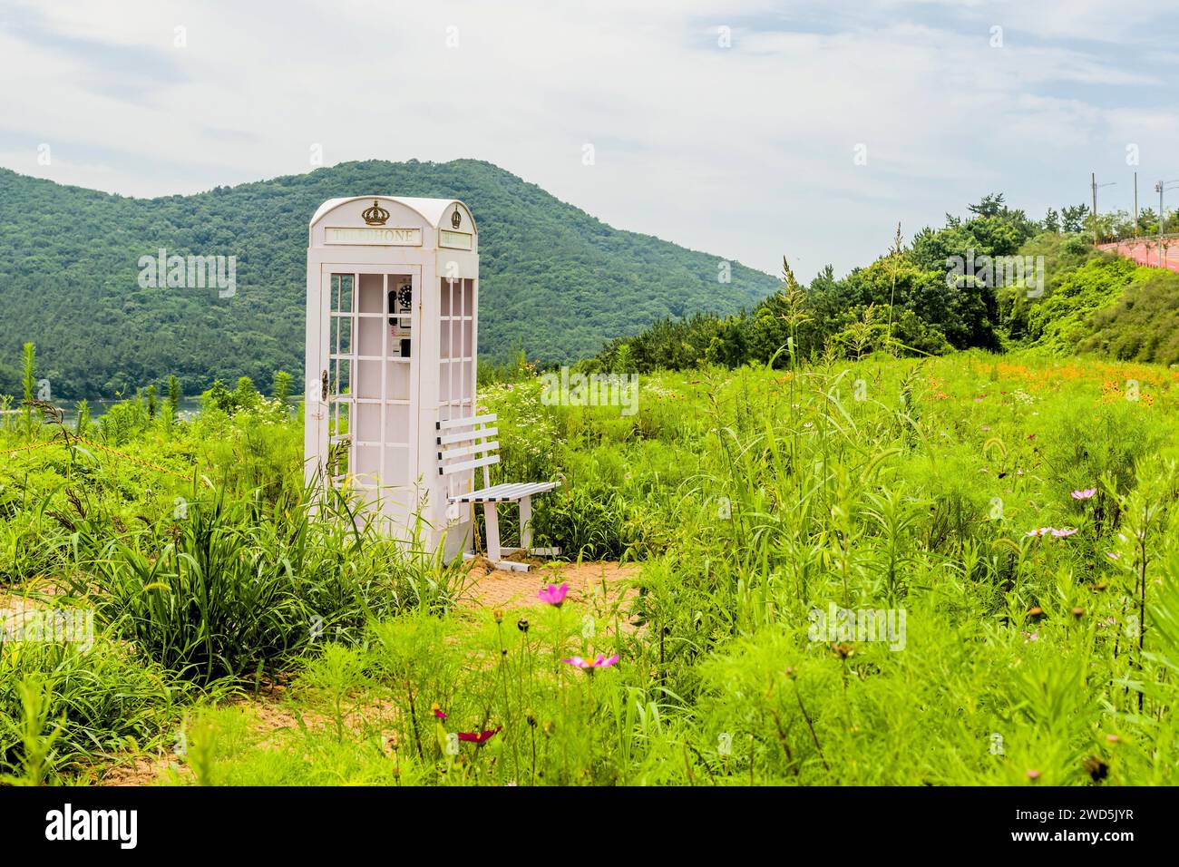 White phone booth isolated in green meadow of tall grass and flowers ...