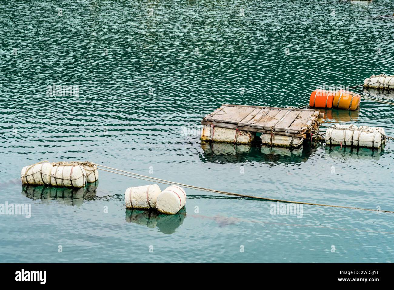 Styrofoam floats and wooden dock floating in water, South Korea Stock ...