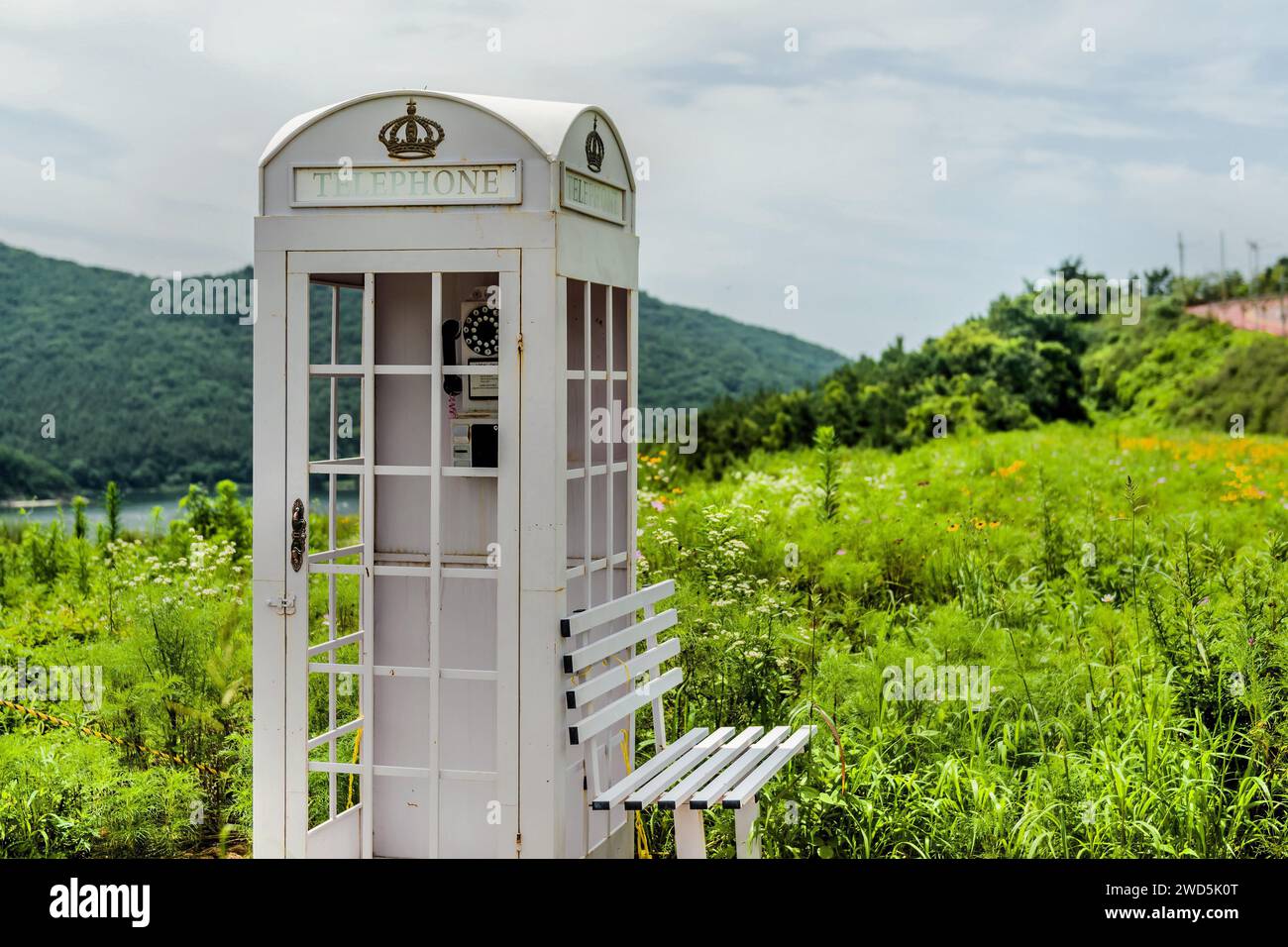 White phone booth isolated in green meadow of tall grass and flowers ...