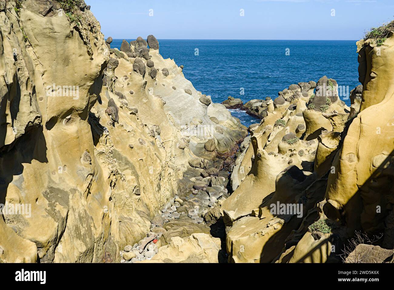 Honeycomb and mushroom rocks eroded by the sea in Yeliou Geopark ...