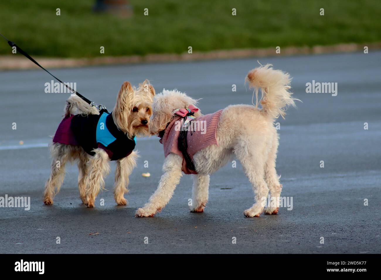 Uk walk winter conversation hi-res stock photography and images - Alamy