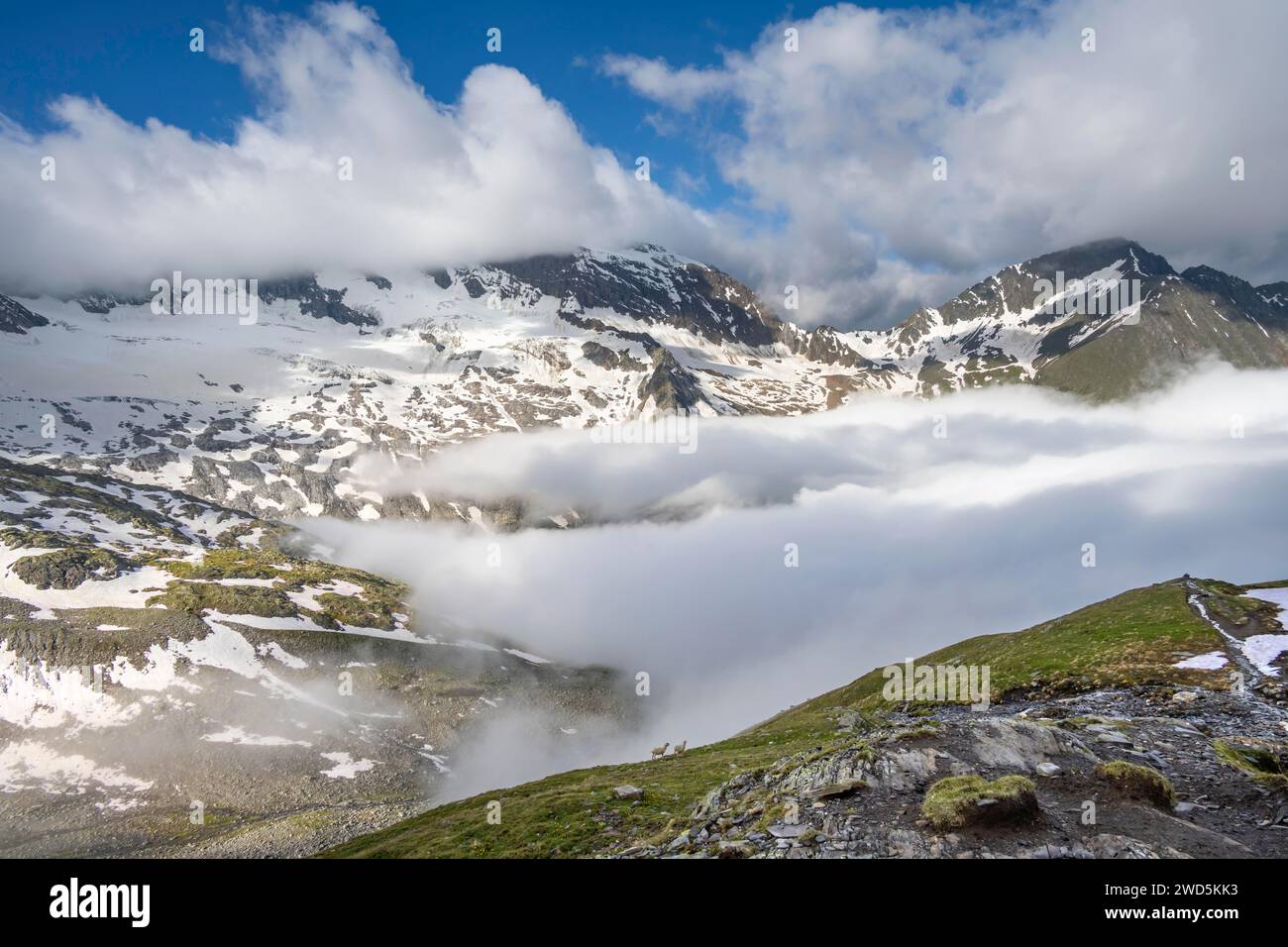 Mountain panorama with high fog in the valley, summit Hochfeiler, Hoher ...