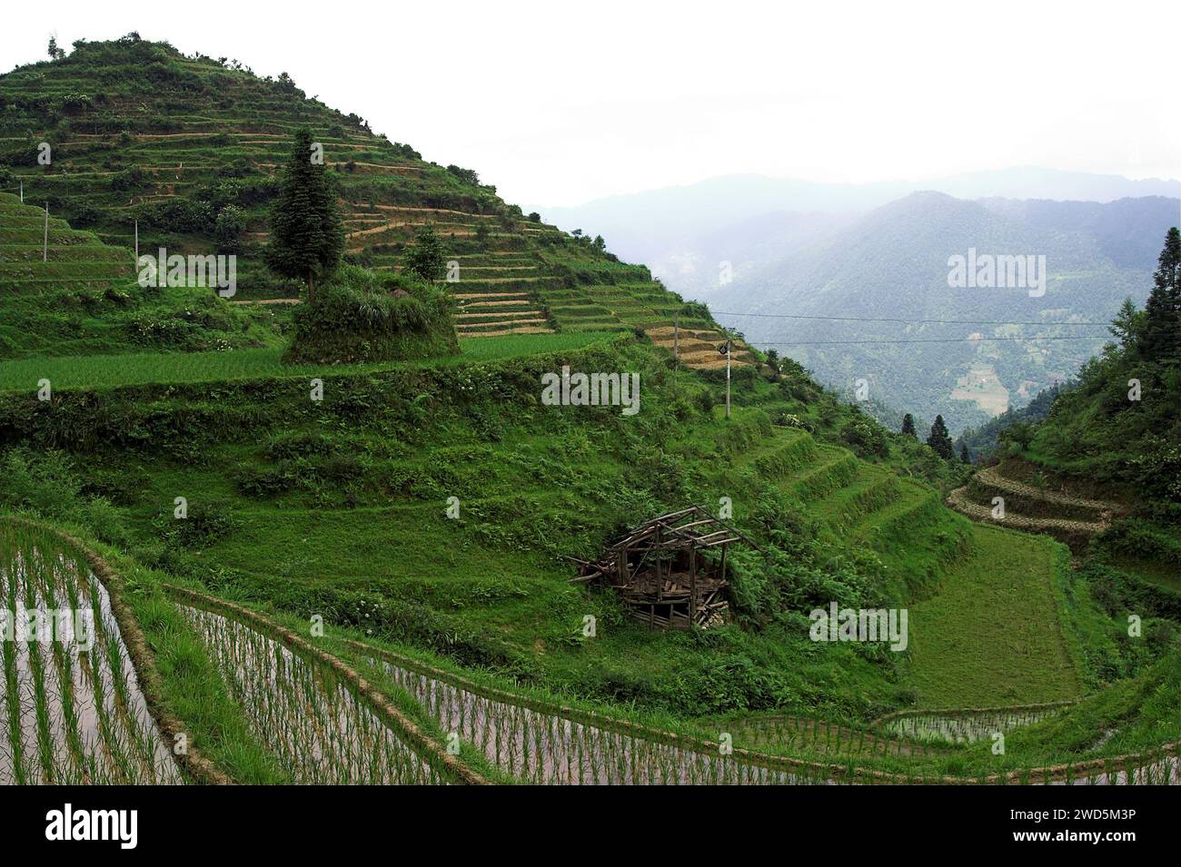 Agricultura en china hi-res stock photography and images - Alamy