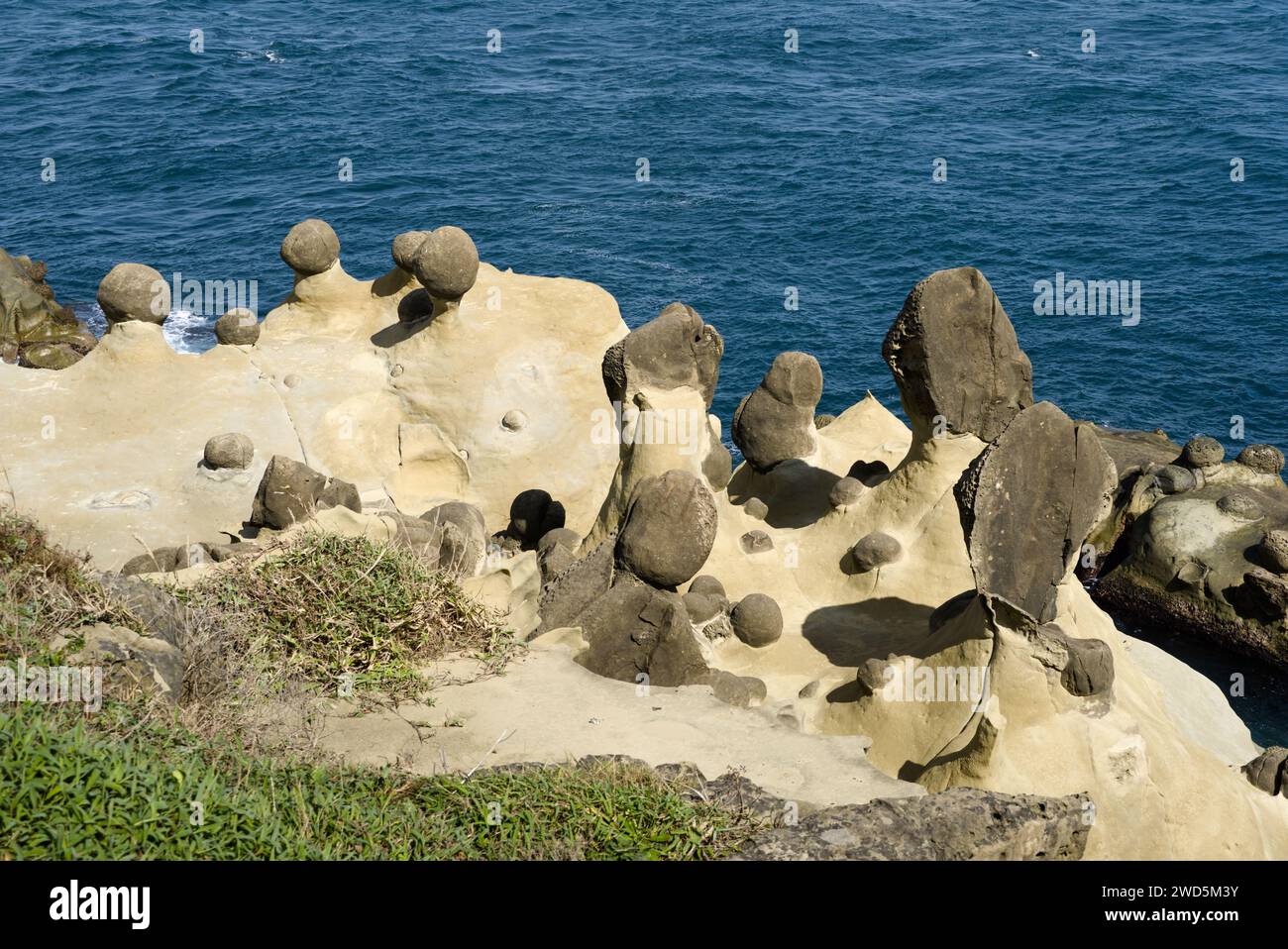 Honeycomb and mushroom rocks eroded by the sea in Yeliou Geopark ...