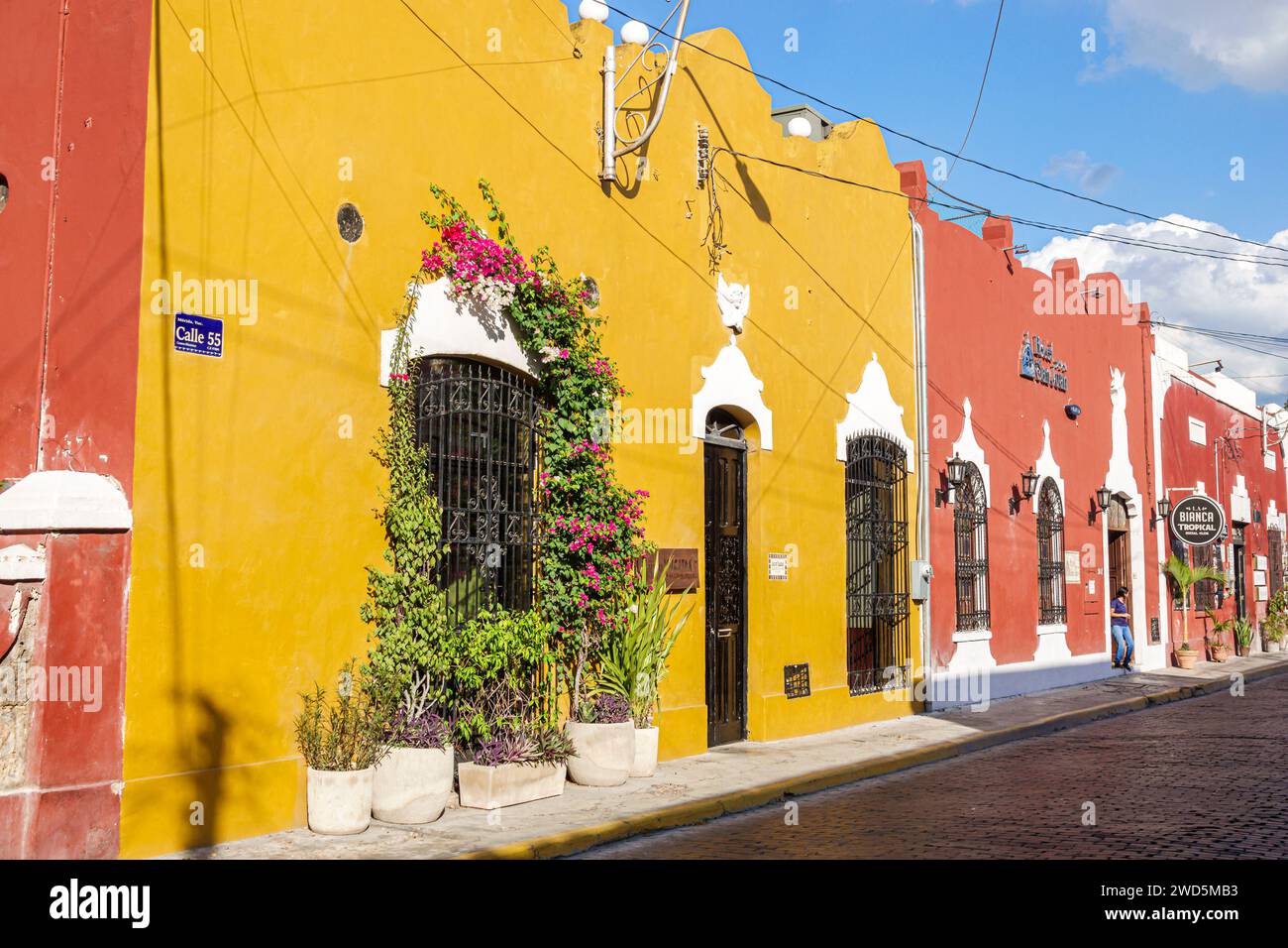 Downtown merida mexico hi-res stock photography and images - Alamy