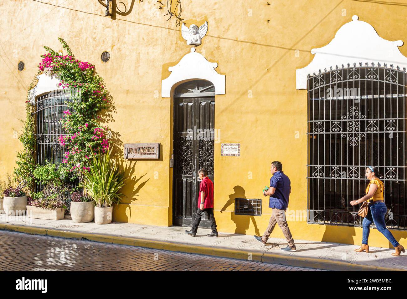 Merida Mexico,centro historico central historic district,Calle 55,Luz ...
