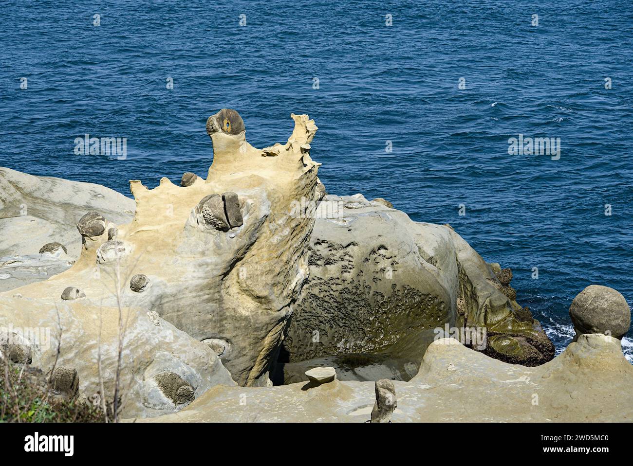 Honeycomb and mushroom rocks eroded by the sea in Yeliou Geopark ...