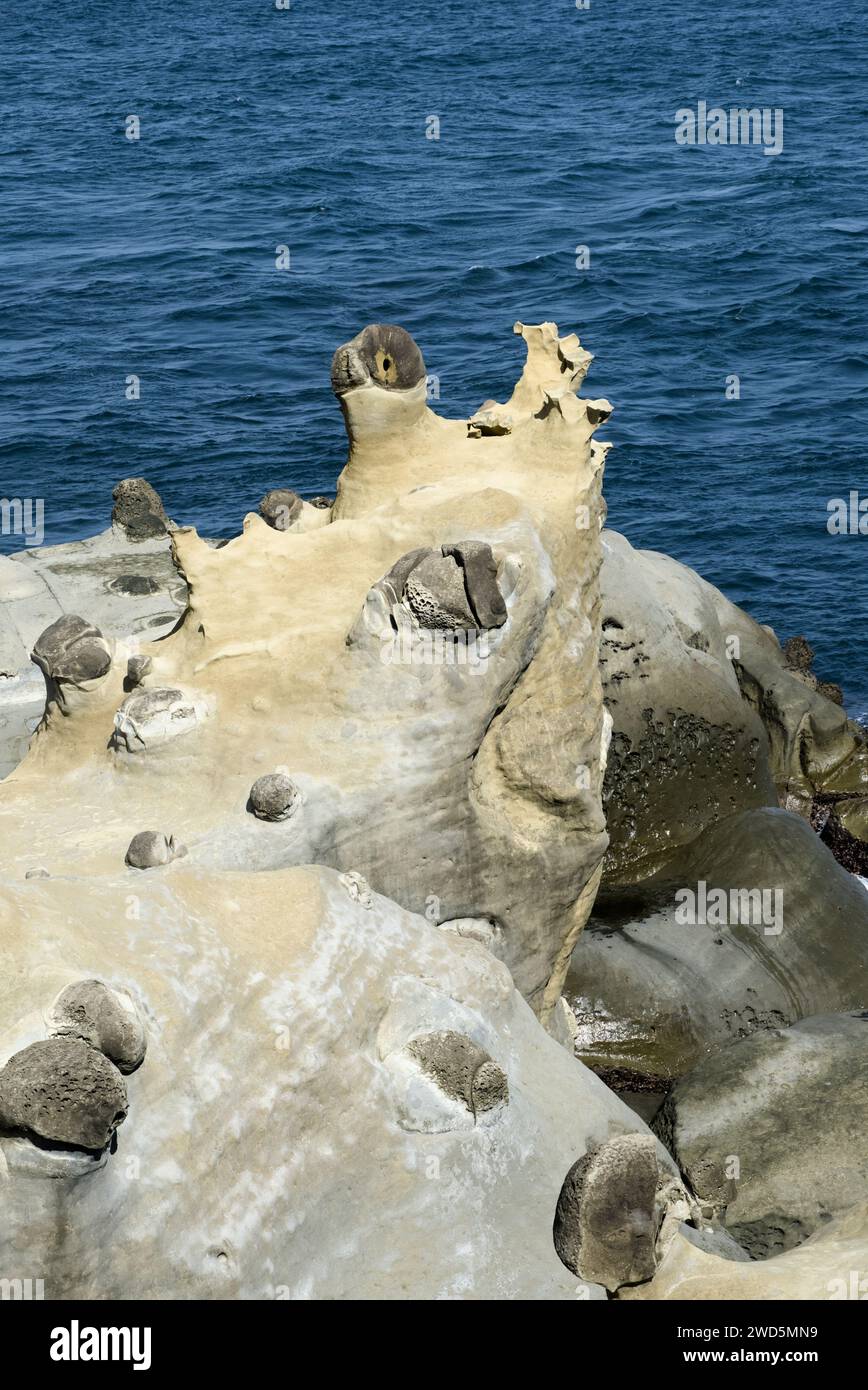 Honeycomb and mushroom rocks eroded by the sea in Yeliou Geopark ...