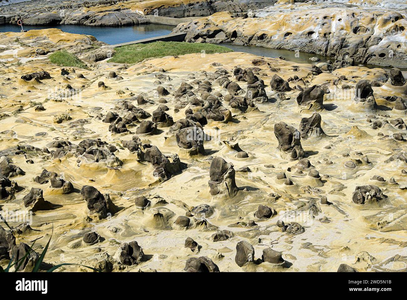 Honeycomb and mushroom rocks eroded by the sea in Yeliou Geopark ...