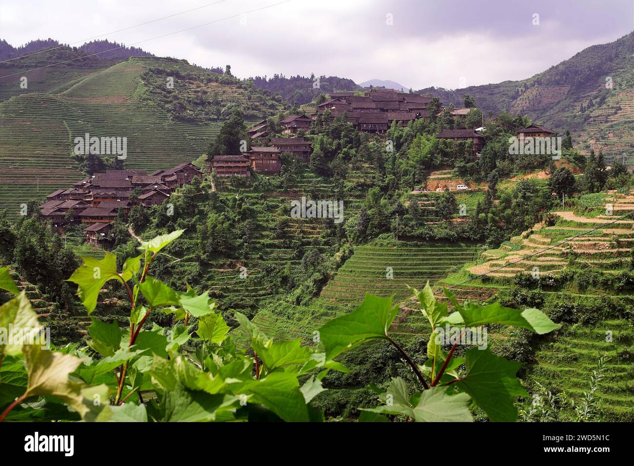 龙胜镇 (龙胜县) 中國 Longsheng Rice Terraces, Dazhai Longji Ping'an Zhuang ...