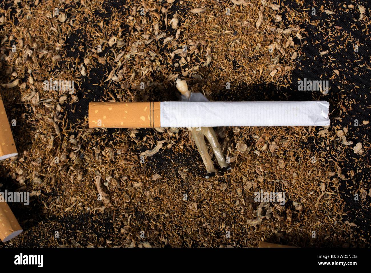 World No Tobacco Day poster for say no smoking concept Stock Photo - Alamy