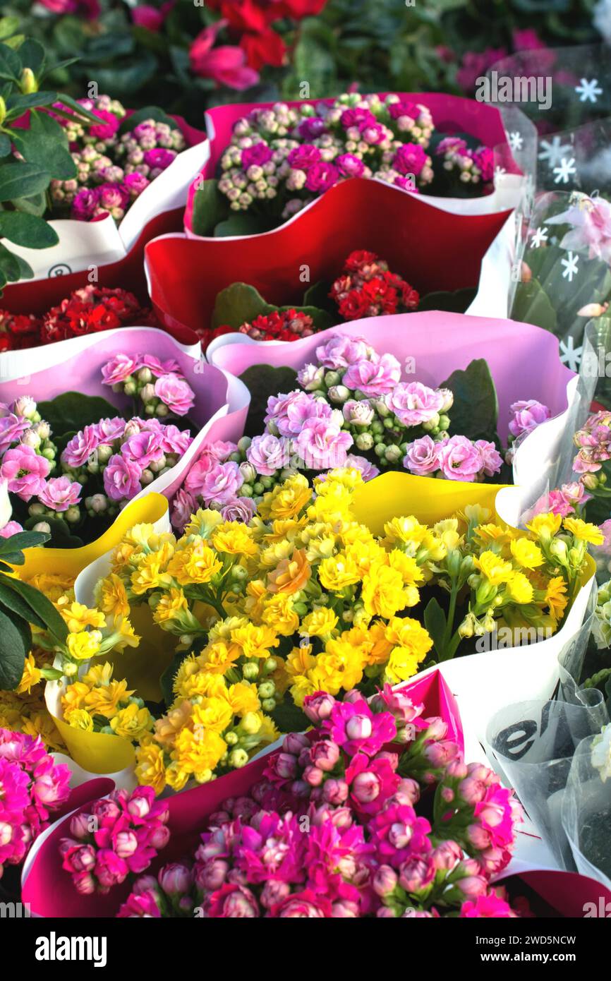 Beautiful colorful natural spring flowers as a nature background Stock ...