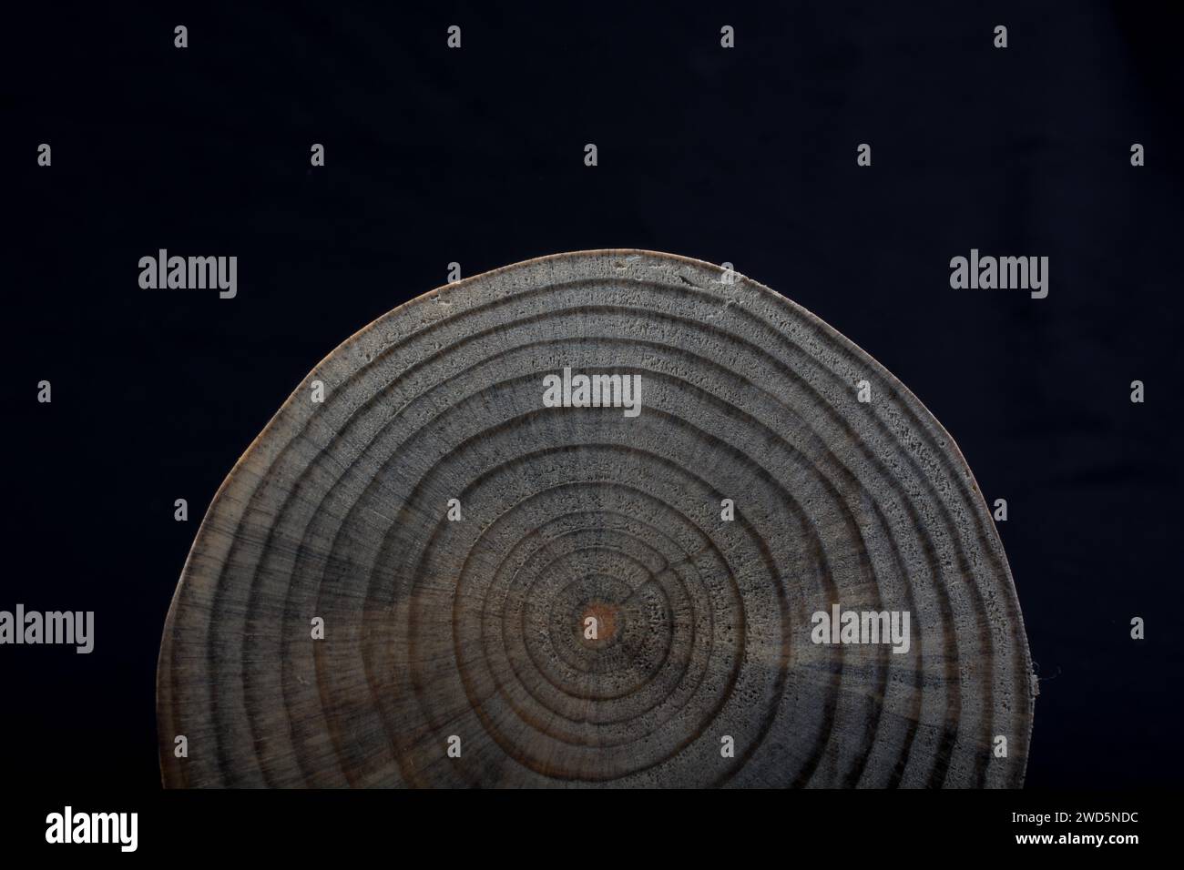 Cut wood texture hi-res stock photography and images - Alamy