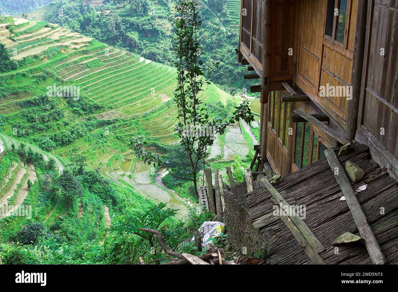 龙胜镇 (龙胜县) 中國 Longsheng Rice Terraces, Dazhai Longji Ping'an Zhuang ...