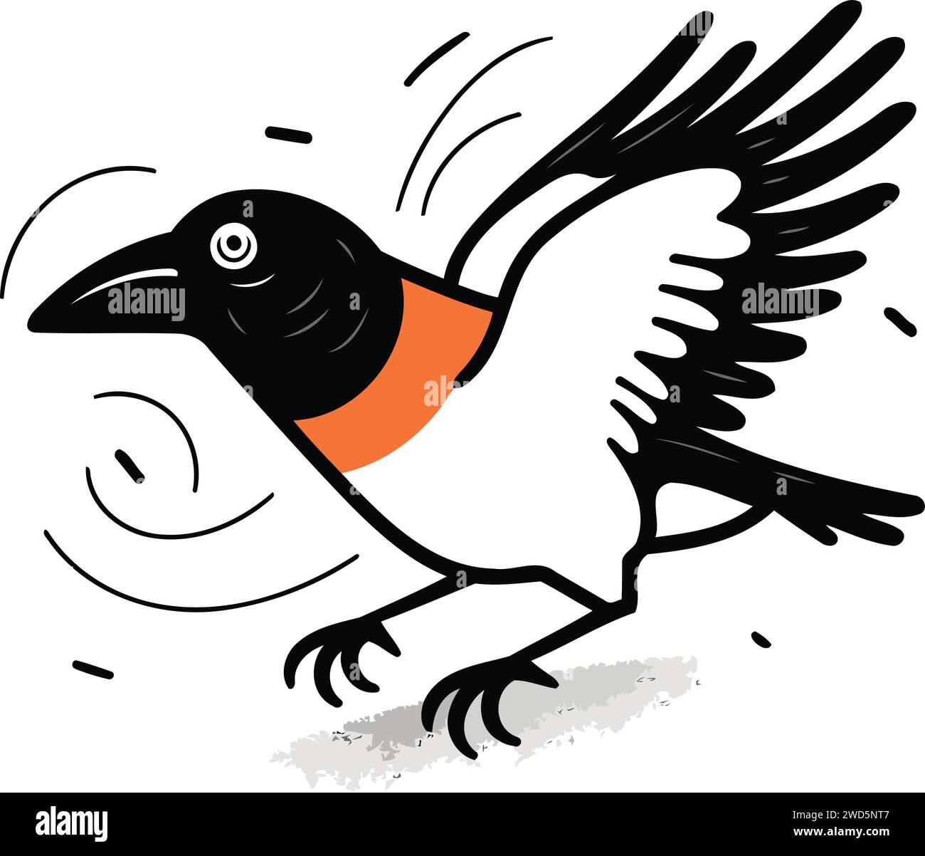 Crow flying on a white background. Vector illustration of a bird Stock ...