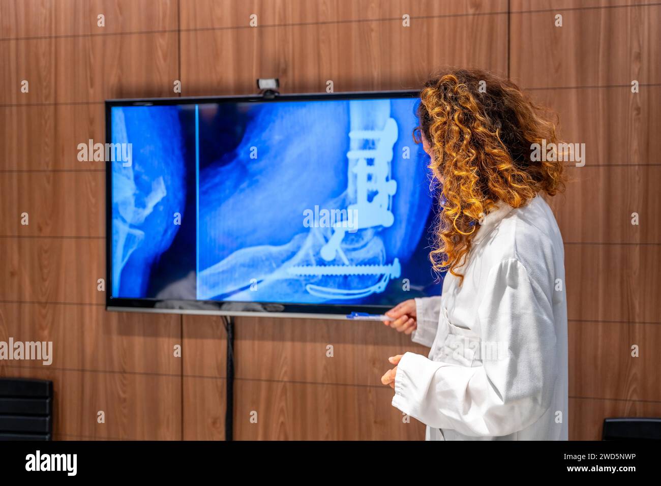 Rear view of a female doctor examining the hip of a patient using x-ray ...