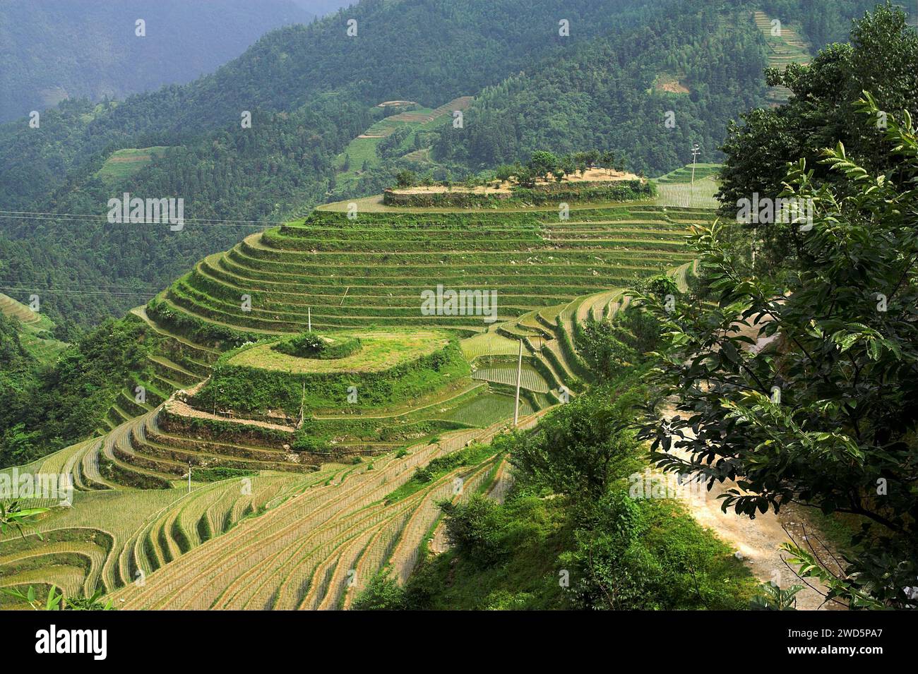 Campos de terrazas hi-res stock photography and images - Alamy