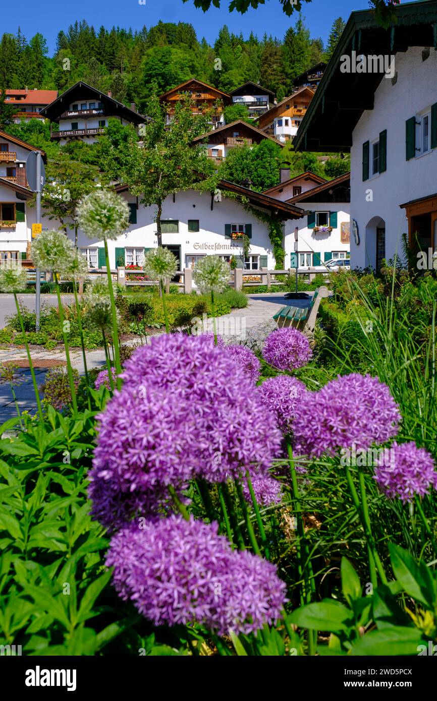Gries, Mittenwald, Werdenfelser Land, Upper Bavaria, Bavaria, Germany ...
