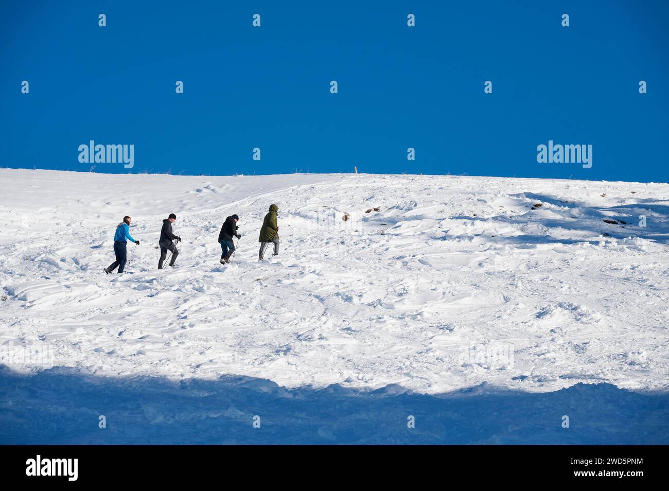 Group of snowshoe hikers, four people, ascending to the Taubensteinhaus ...