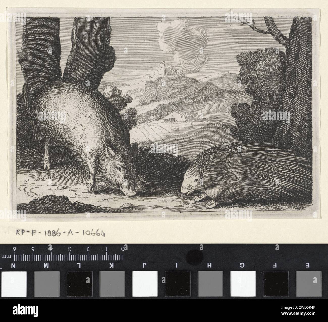 Landscape with wild boar and pink pig, Anonymous, After Herman van ...