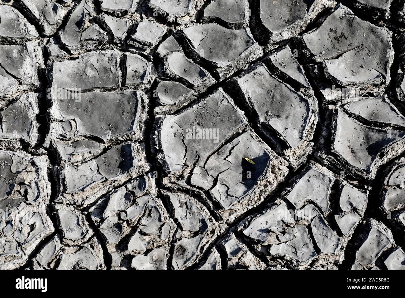 The bottom of a dried-up fish pond in Reckahn in Brandenburg looks like ...