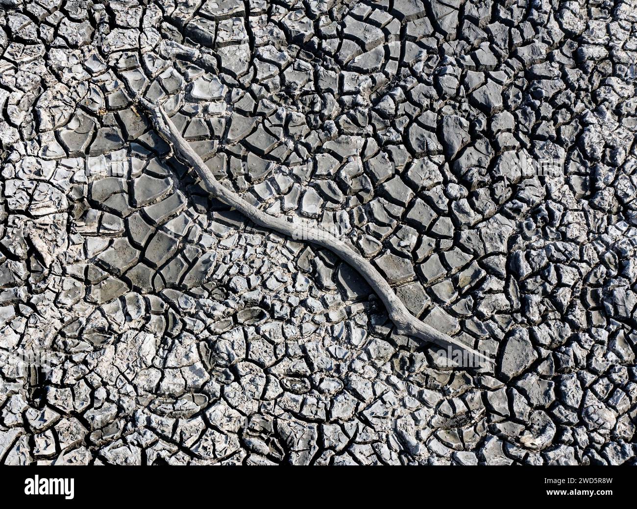 The bottom of a dried-up fish pond in Reckahn in Brandenburg looks like ...