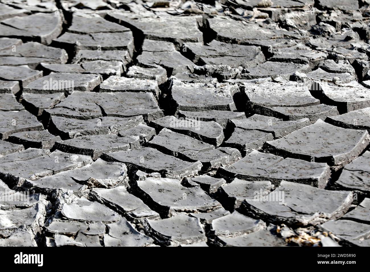 The bottom of a dried-up fish pond in Reckahn in Brandenburg looks like ...