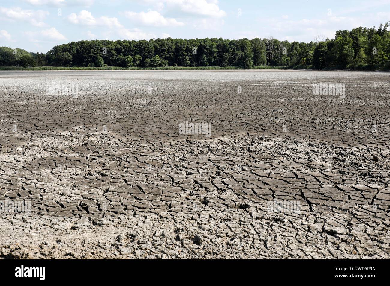 The bottom of a dried-up fish pond in Reckahn in Brandenburg looks like ...