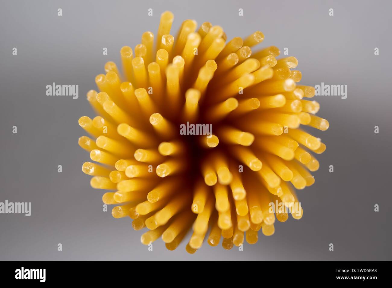 set of cooking spaghetti pasta viewed from above in circular shape ...