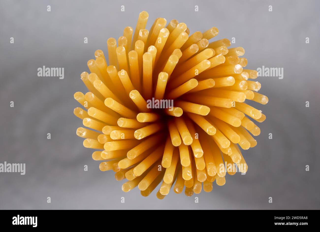 set of cooking spaghetti pasta viewed from above in circular shape ...