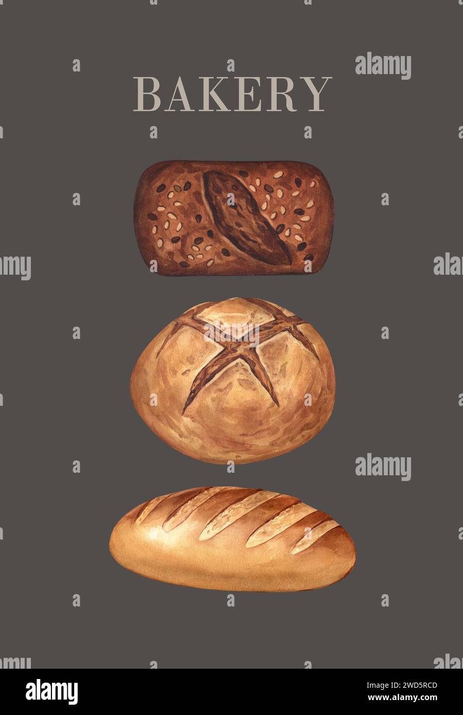 Fresh baked bread of sourdough. Homemade wheat bread, loaf and bun ...