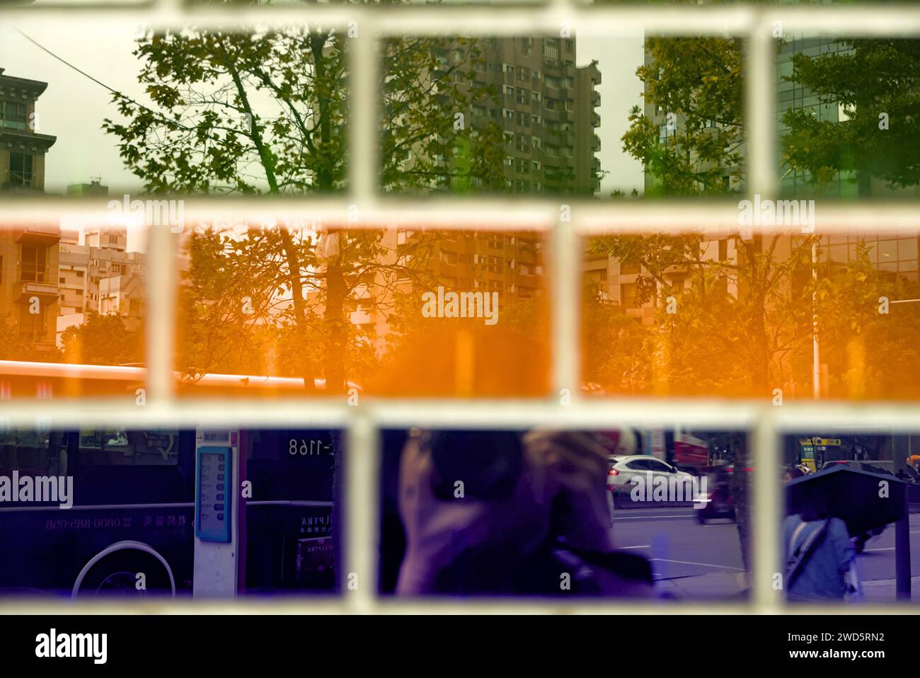 Glass wall reflection trees hi-res stock photography and images - Alamy