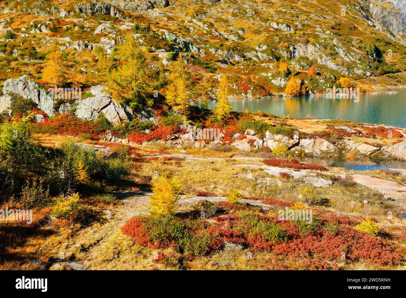 Autumn colours at Lac d'Emosson in the Valais mountains, Switzerland ...