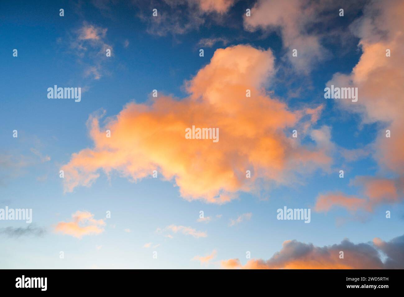 Image of blue hi-res stock photography and images - Alamy