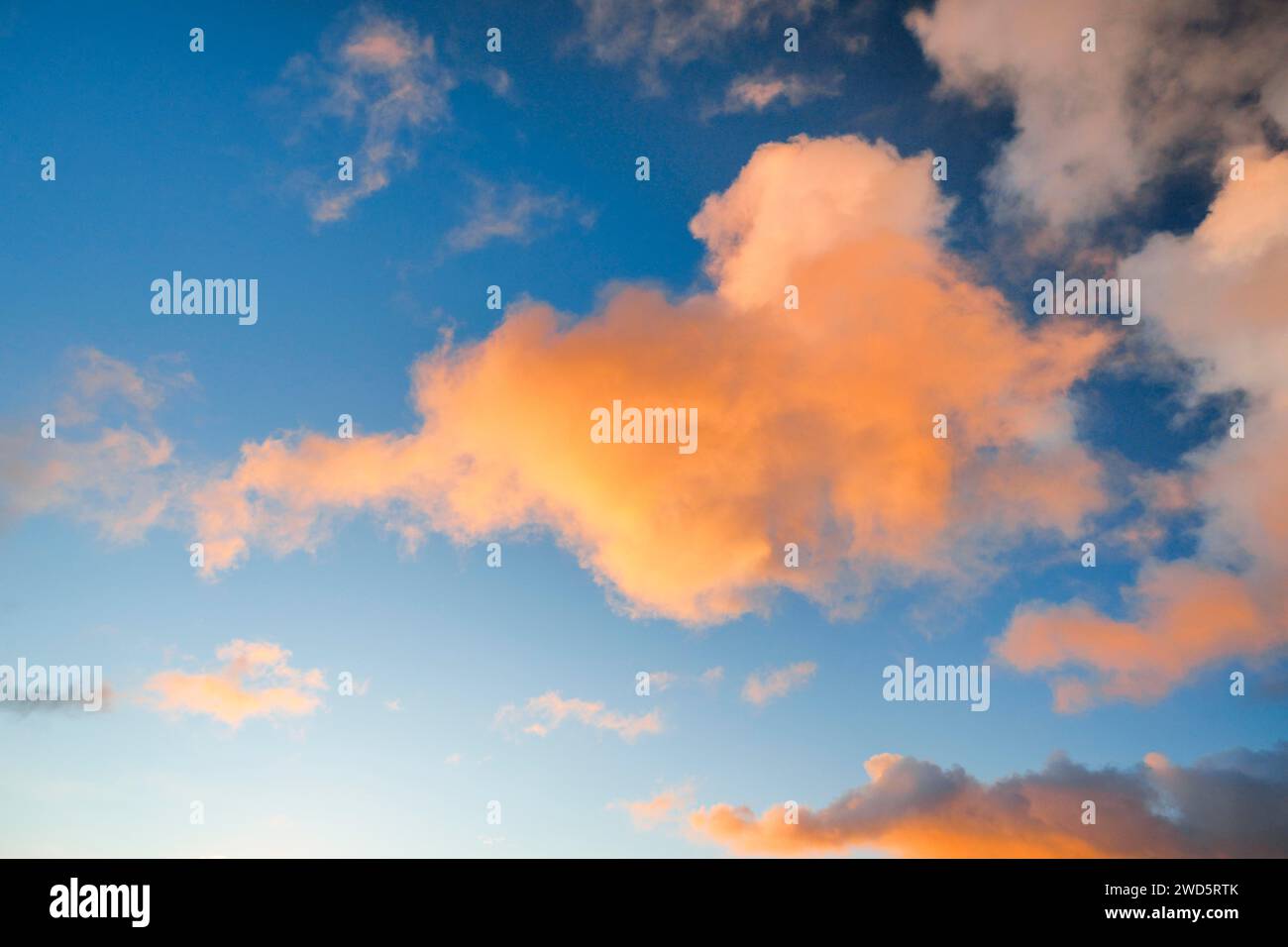 Image of blue hi-res stock photography and images - Alamy