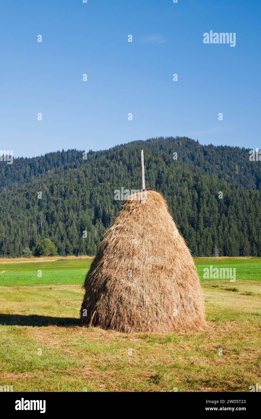 Traditional haystack hi-res stock photography and images - Alamy